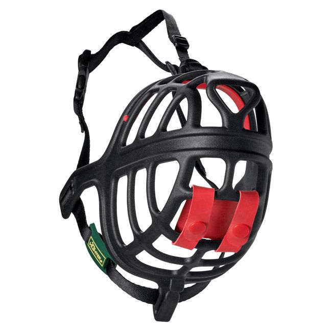 Hunter | Schleppwild mit Qualität ideal zur Jagdhundeprüfung ...